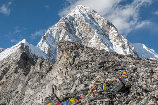「Chumbu」の写真素材 | 225件の無料イラスト画像 | Adobe Stock
