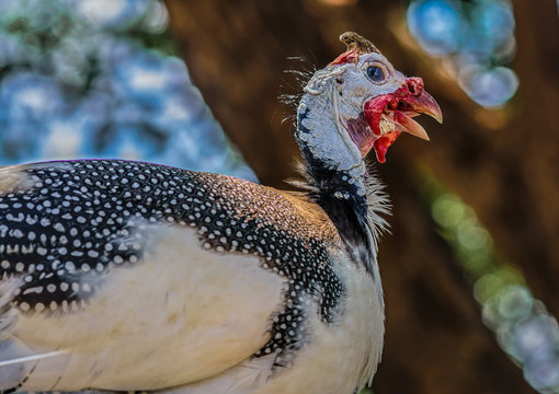 500Px bilder – Bläddra bland 1,130 stockfoton, vektorer och videor ...