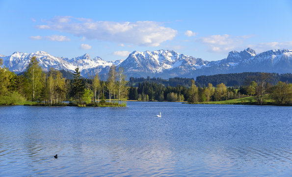 "Seeg Images – Browse 308 Stock Photos, Vectors, and Video | Adobe Stock