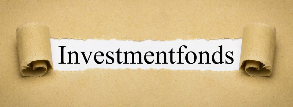 Imágenes de Investmentfonds: descubre bancos de fotos, ilustraciones ...