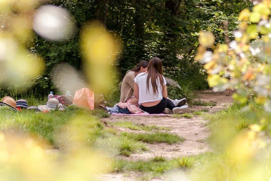 「Delicadeza」の画像 - 1,580 件の Stock 写真、ベクターおよびビデオ | Adobe Stock
