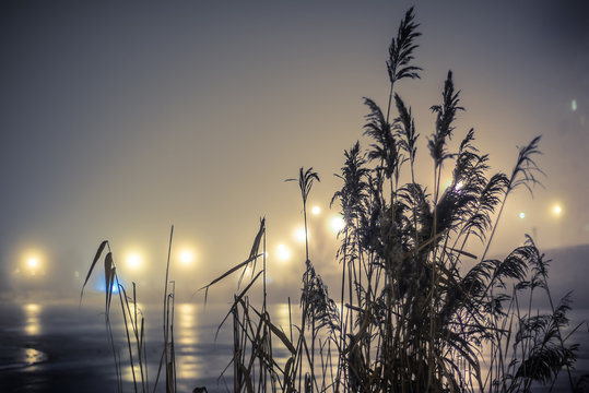 Marsh Night Bilder – Durchsuchen 8,931 Archivfotos, Vektorgrafiken und ...