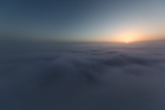 Imágenes de Oscar: descubre bancos de fotos, ilustraciones, vectores y ...