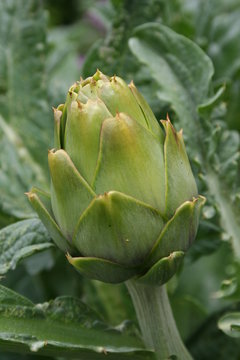 「Architoke」の写真素材 | 22件の無料イラスト画像 | Adobe Stock