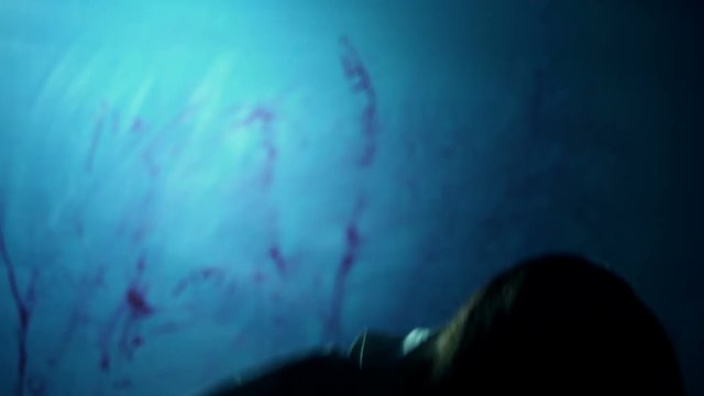 Manslaughter bilder – Bläddra bland 1,348 stockfoton, vektorer och ...