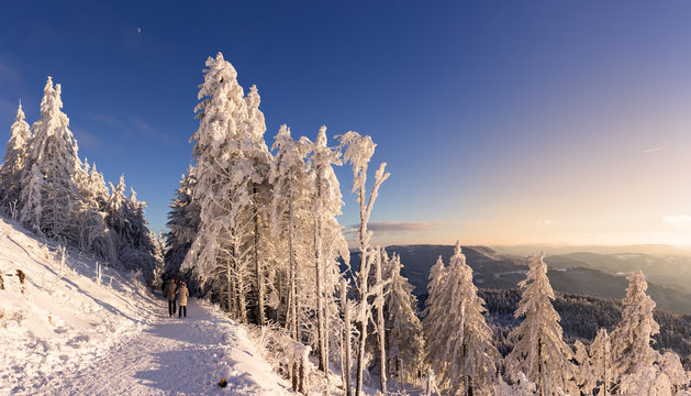 「Nordschwarzwald」の写真素材 | 3,829件の無料イラスト画像 | Adobe Stock
