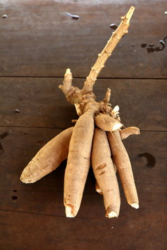 「Maracheeni」の写真素材 | 49件の無料イラスト画像 | Adobe Stock