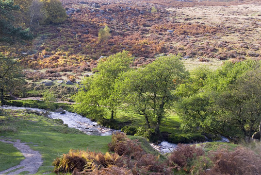 Burbage-Bilder: Stock-Fotos & -Videos. | Adobe Stock