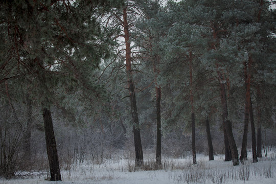 Worest Images – Browse 37 Stock Photos, Vectors, and Video | Adobe Stock