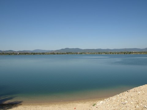 Lupa Images – Browse 4,597 Stock Photos, Vectors, and Video | Adobe Stock