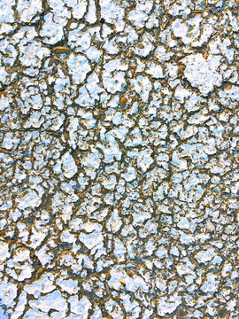 Artificial Texture Examples