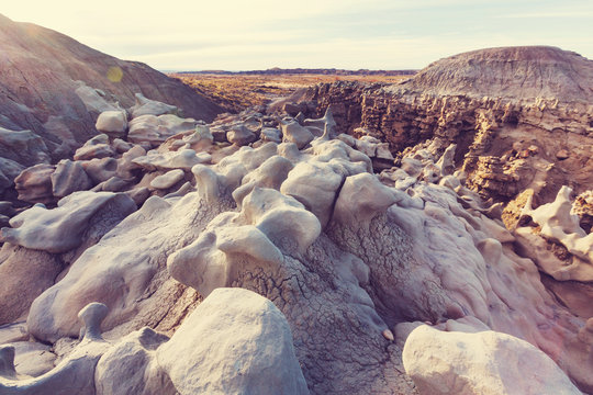 รูปภาพVernal – เลือกดูภาพถ่ายสต็อก เวกเตอร์ และวิดีโอ32,017 | Adobe Stock