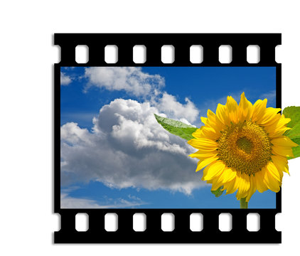 รูปภาพDiapositiv – เลือกดูภาพถ่ายสต็อก เวกเตอร์ และวิดีโอ311 | Adobe Stock