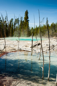 "Cistern Spring" 影像 – 瀏覽 34 個素材庫相片、向量圖和影片 | Adobe Stock
