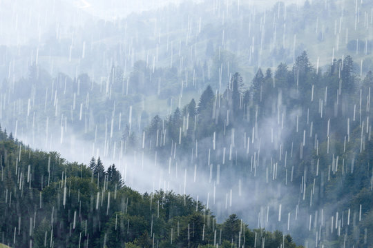 Free Rain Images – Browse 6,653 Free Stock Photos, Vectors, and Video ...