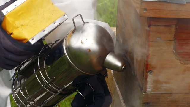 "Bee Smoker" Imagens – Procure 4,672 fotos, vetores e vídeos | Adobe Stock