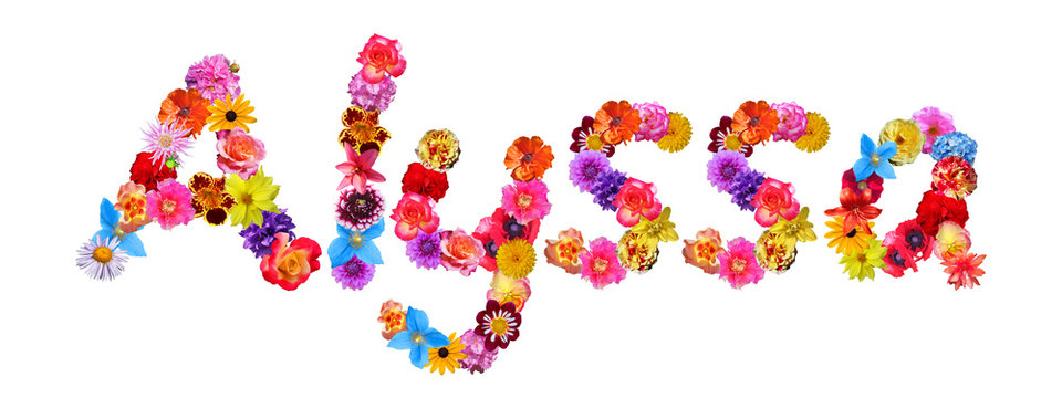 Alyssa Images – Browse 34 Stock Photos, Vectors, and Video | Adobe Stock