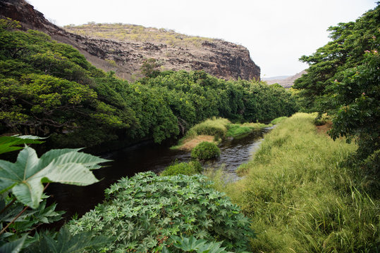 41 BEST Menehune IMAGES, STOCK PHOTOS & VECTORS | Adobe Stock