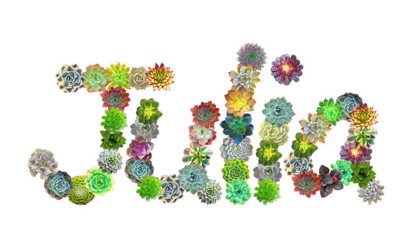 Julia Name Wallpaper