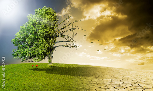 "Klimawandel." Stockfotos und lizenzfreie Bilder auf Fotolia.com - Bild ...