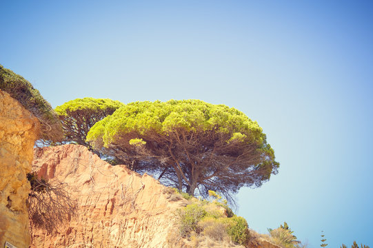 Buzy Bilder – Durchsuchen 239 Archivfotos, Vektorgrafiken und Videos ...