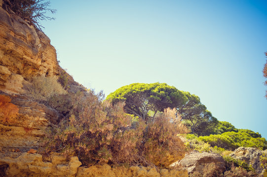 "Scenery Scenic" bilder – Bläddra bland 264 stockfoton, vektorer och ...