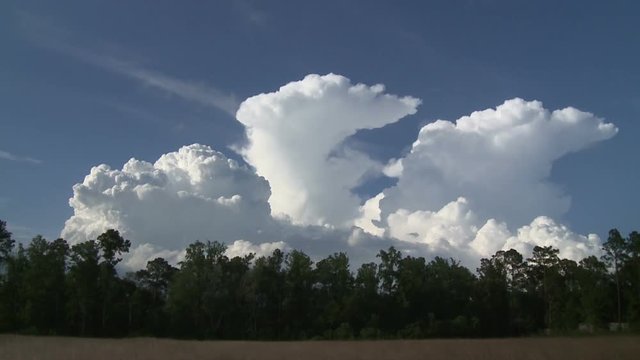 รูปภาพDissipation – เลือกดูภาพถ่ายสต็อก เวกเตอร์ และวิดีโอ16,885 ...