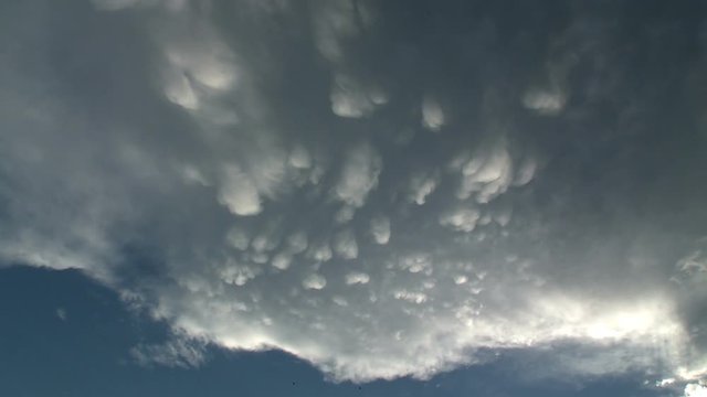 "Anvil Cloud" 이미지 – 찾아보기 301 스톡 사진, 벡터 및 비디오 | Adobe Stock