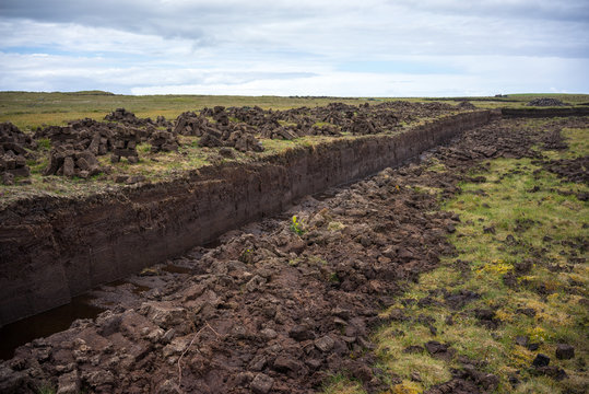 Peatlands Images – Browse 114,631 Stock Photos, Vectors, and Video ...