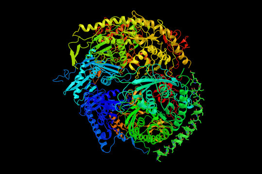 Oip Images – Browse 50 Stock Photos, Vectors, and Video | Adobe Stock