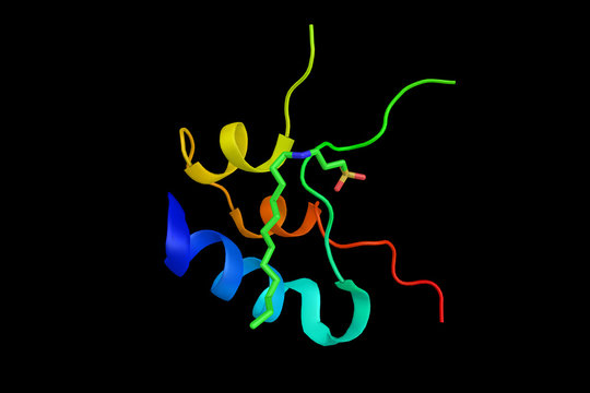 Mecasermin Images – Browse 46 Stock Photos, Vectors, and Video | Adobe ...