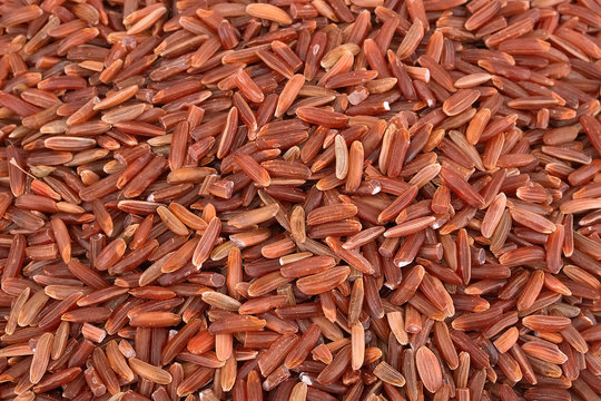 Red Rice Images – Browse 353,745 Stock Photos, Vectors, and Video ...
