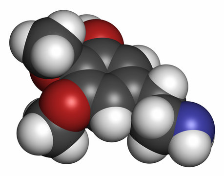 Meskalin Bilder – Durchsuchen 924 Archivfotos, Vektorgrafiken und ...