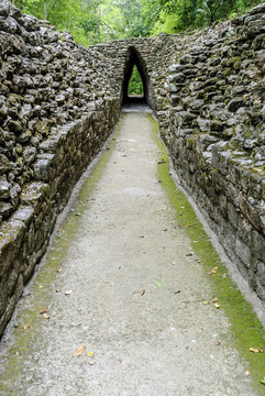 「Becan」の画像 - 1,302 件の Stock 写真、ベクターおよびビデオ | Adobe Stock