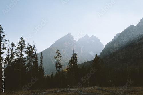 "Tree line with mountains in the distance" Stock photo and royalty-free ...