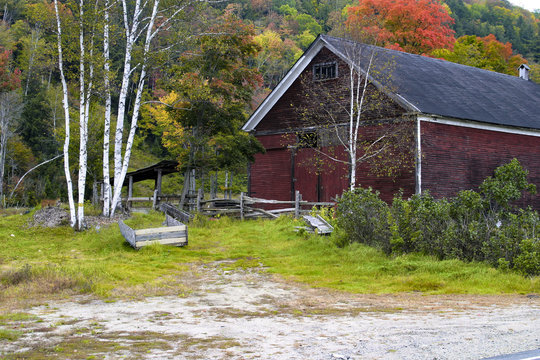 "Small Farm" Images – Browse 8,731 Stock Photos, Vectors, and Video ...