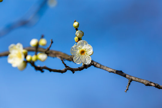 Beautifulness 画像 - 参照 396 Stock 写真、ベクターおよびビデオ | Adobe Stock