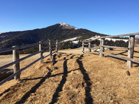 Rappold Images – Browse 14 Stock Photos, Vectors, and Video | Adobe Stock