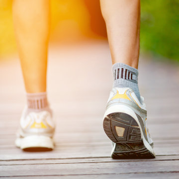 Huckle-Bone Images – Browse 51 Stock Photos, Vectors, and Video | Adobe ...