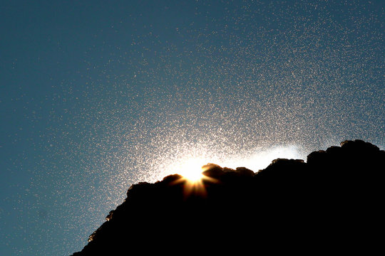 Bright Sun Spots Images – Browse 7,714 Stock Photos, Vectors, and Video ...