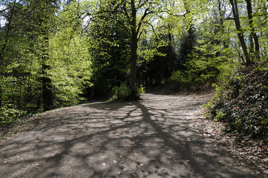 Baumschatten Images – Browse 190 Stock Photos, Vectors, and Video ...