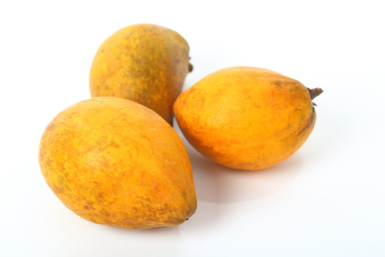 รูปภาพEggfruit – เลือกดูภาพถ่ายสต็อก เวกเตอร์ และวิดีโอ2,343 | Adobe Stock