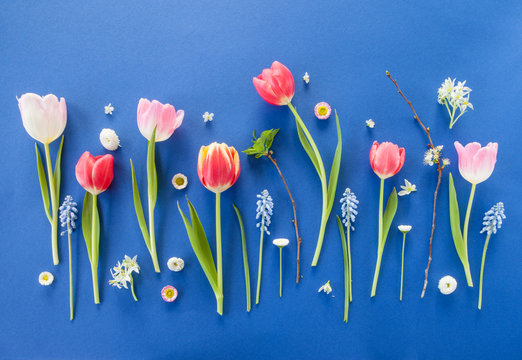 รูปภาพFraben – เลือกดูภาพถ่ายสต็อก เวกเตอร์ และวิดีโอ88 | Adobe Stock