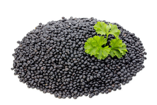 รูปภาพLentin – เลือกดูภาพถ่ายสต็อก เวกเตอร์ และวิดีโอ157 | Adobe Stock