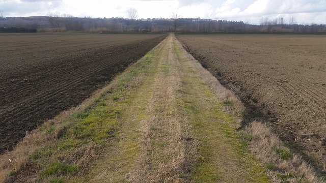 Imágenes de Latifundio: descubre bancos de fotos, ilustraciones ...