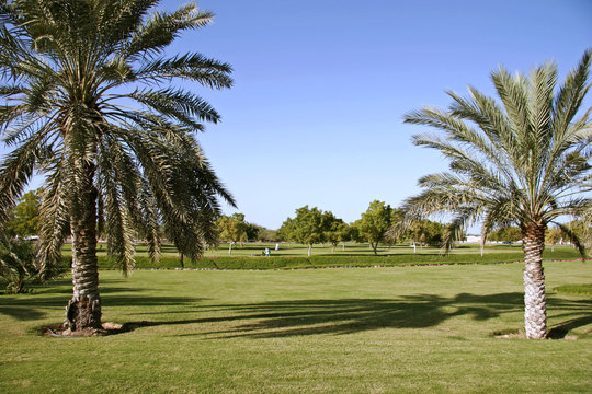 Masquat Images – Browse 96 Stock Photos, Vectors, and Video | Adobe Stock