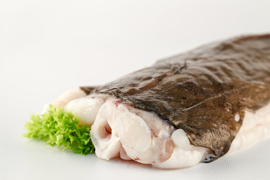 Lotte Images – Browse 472 Stock Photos, Vectors, and Video | Adobe Stock