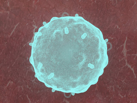 Plasmocyte bilder – Bläddra bland 601 stockfoton, vektorer och videor ...