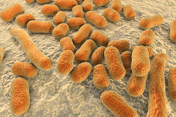 Search photos acinetobacter
