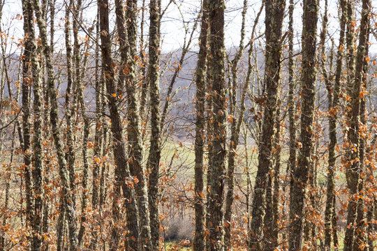 Atisbar Images – Browse 12 Stock Photos, Vectors, and Video | Adobe Stock